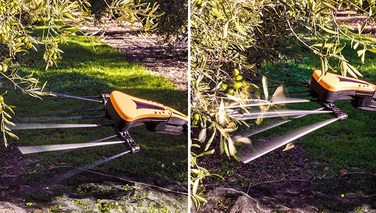 Power 48 - Olive Harvesting Rake - Pellenc USA