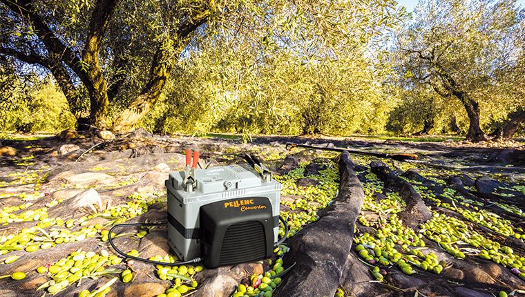 Power 48 - Olive Harvesting Rake - Pellenc USA