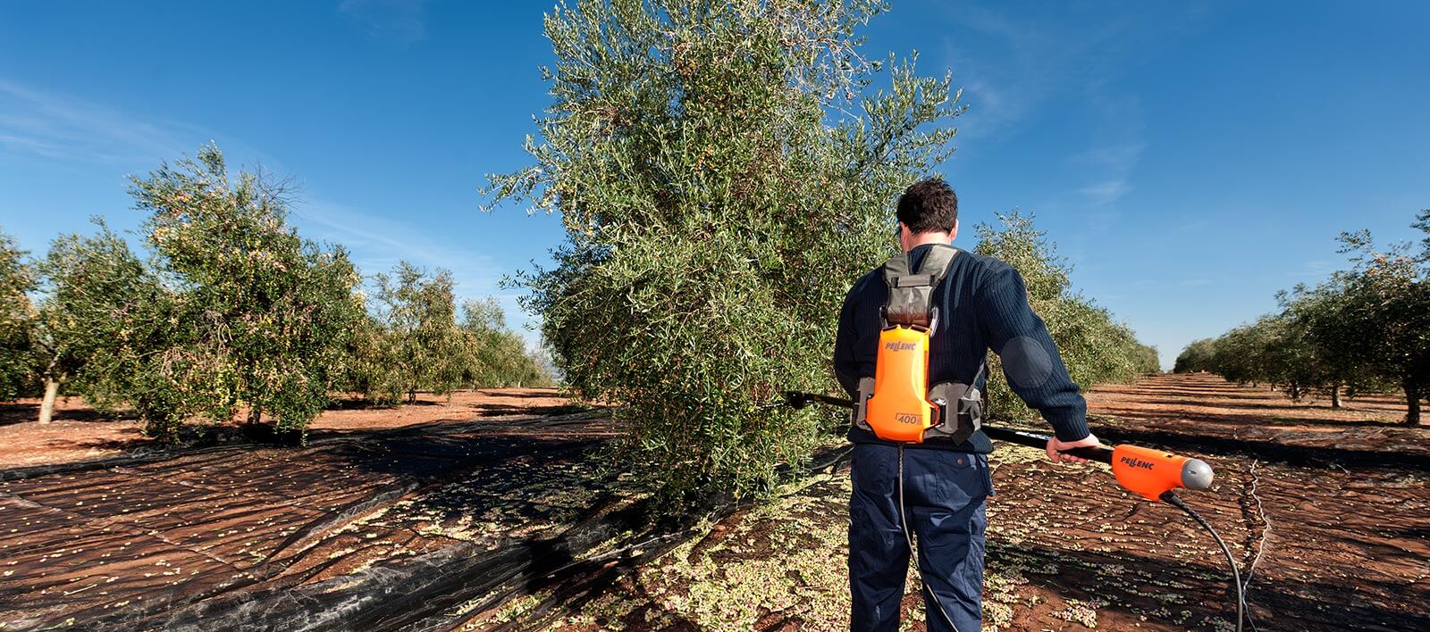 Olive Shaker Rake - Olivion - Pellenc USA