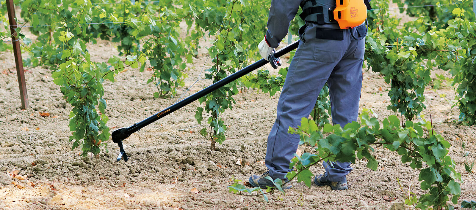 Home - Pellenc USA | Specialized agriculture