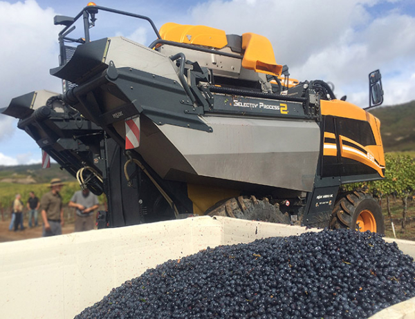 Selectiv' Process 2 Harvesting Head - Pellenc USA