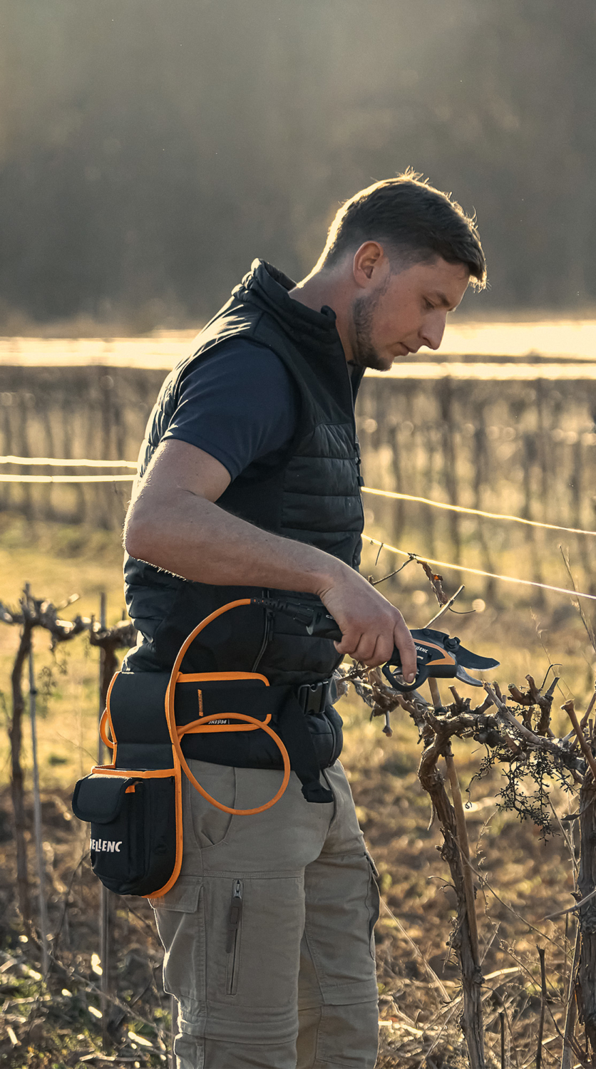 Vine Pruning Shears - C35 - Pellenc USA