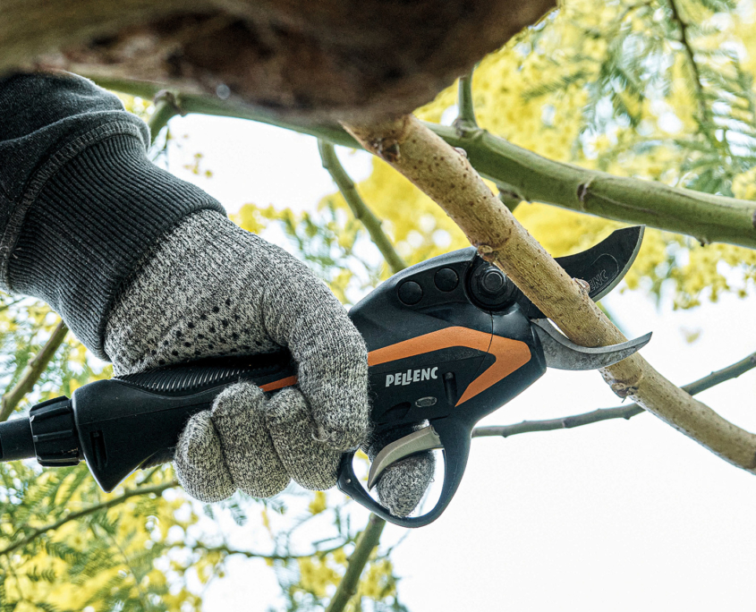 Home - Pellenc USA | Specialized agriculture