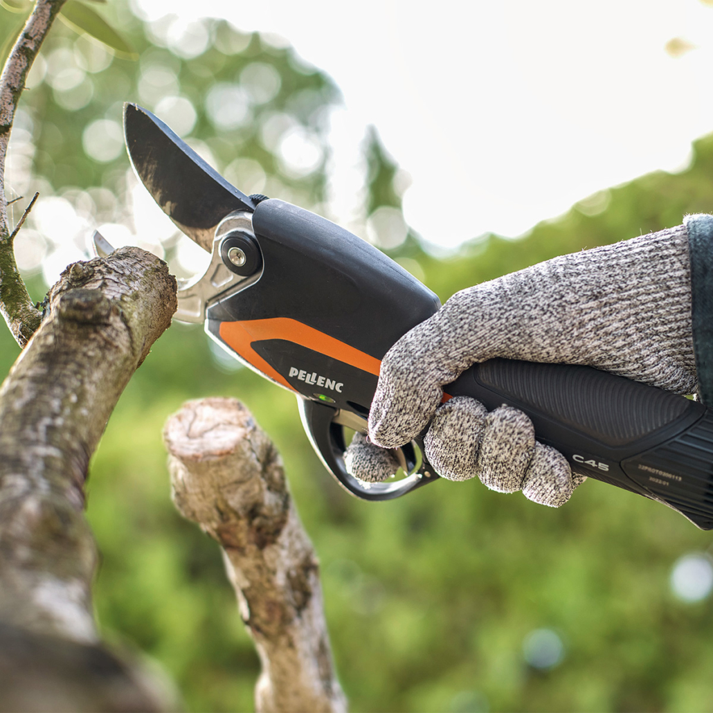 C45 - Tree Pruning Shears - Pellenc USA