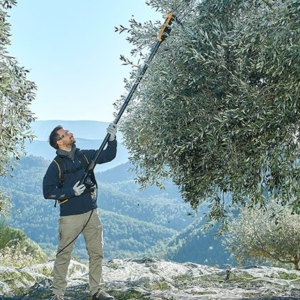 Power 48 - Olive Harvesting Rake - Pellenc USA