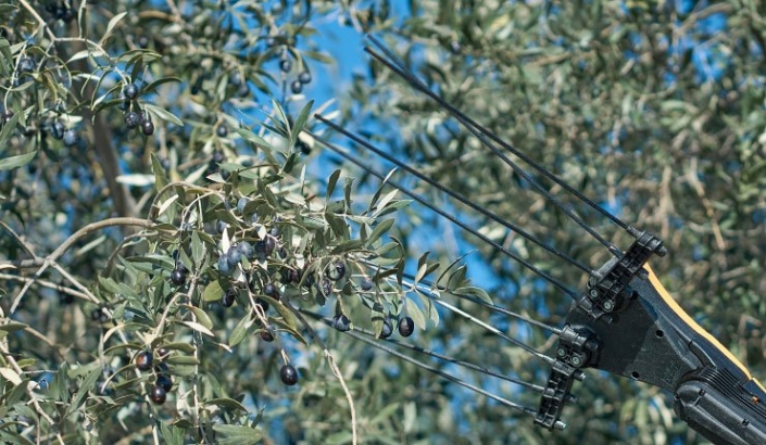 Olive Rake - Power 48 - Pellenc USA